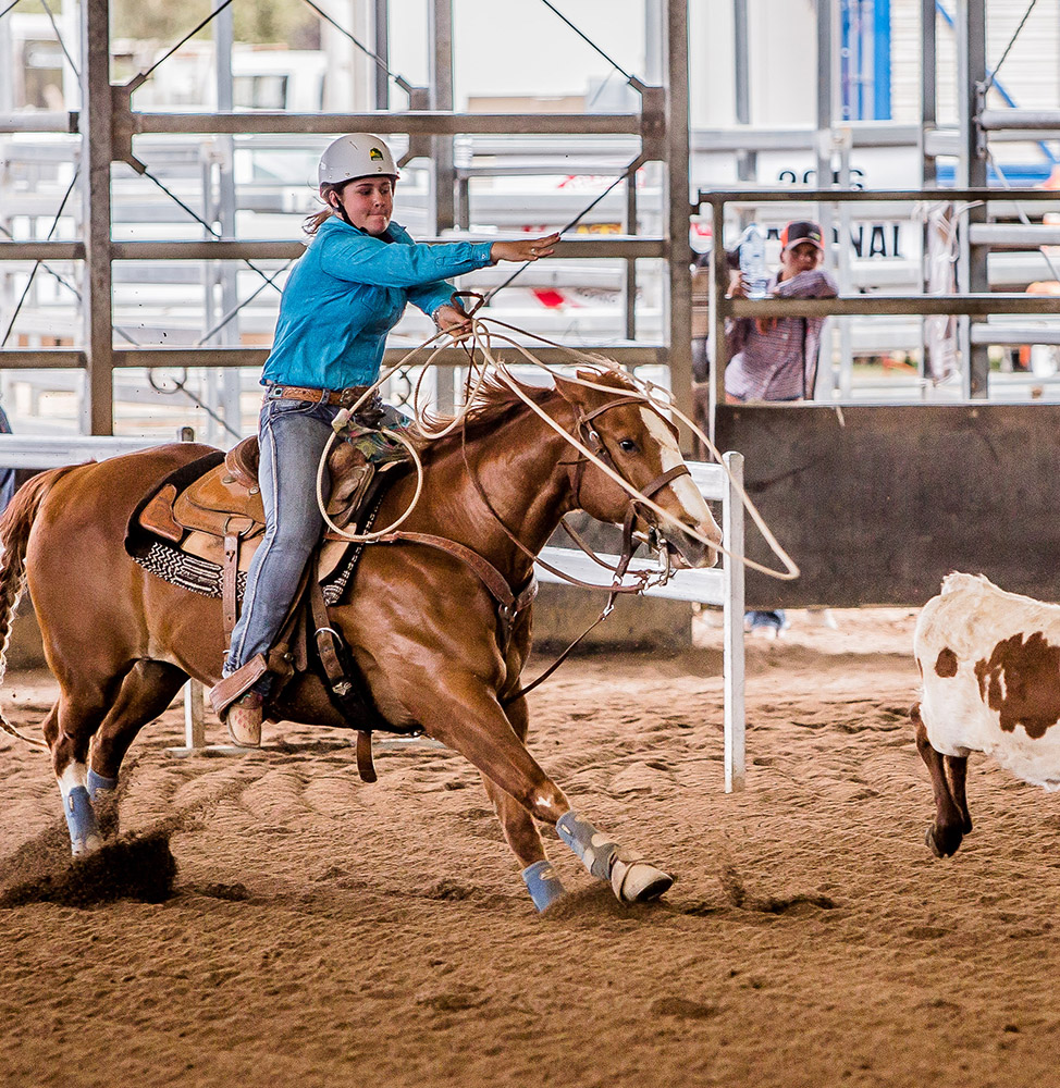 Home - Australian Performance Horse Magazine