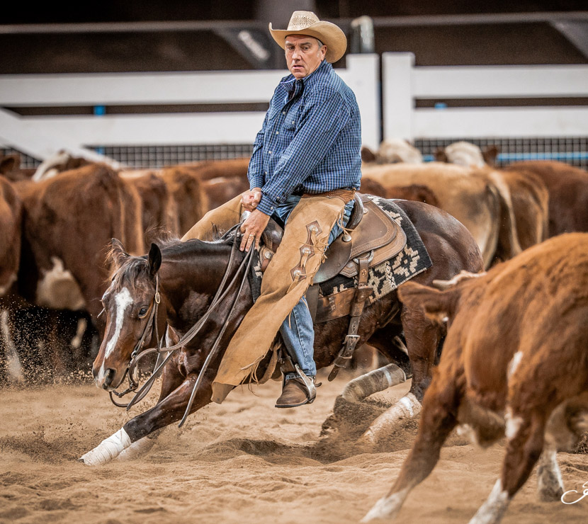 Home - Australian Performance Horse Magazine