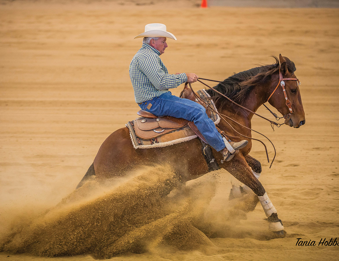 Home - Australian Performance Horse Magazine