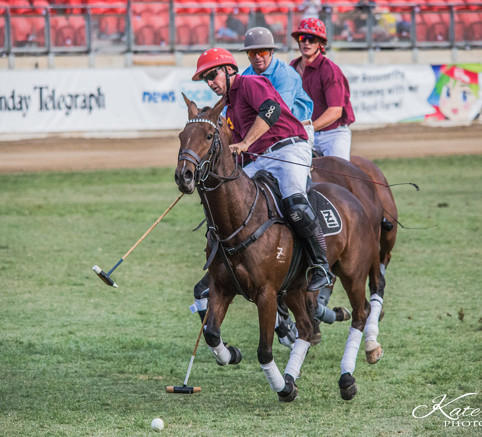 Home - Australian Performance Horse Magazine