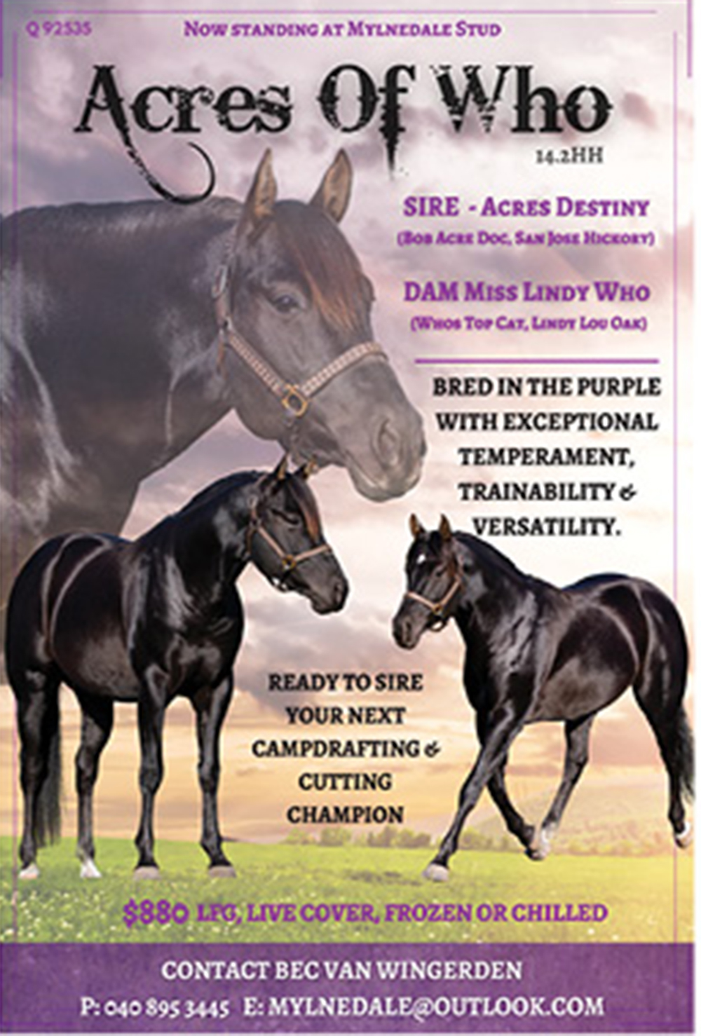 2022/23 All Breeds Stallion Directory – Australian Performance Horse ...